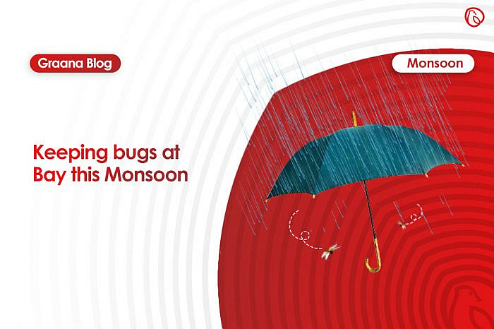 Keeping bugs at Bay this Monsoon | Graana.com