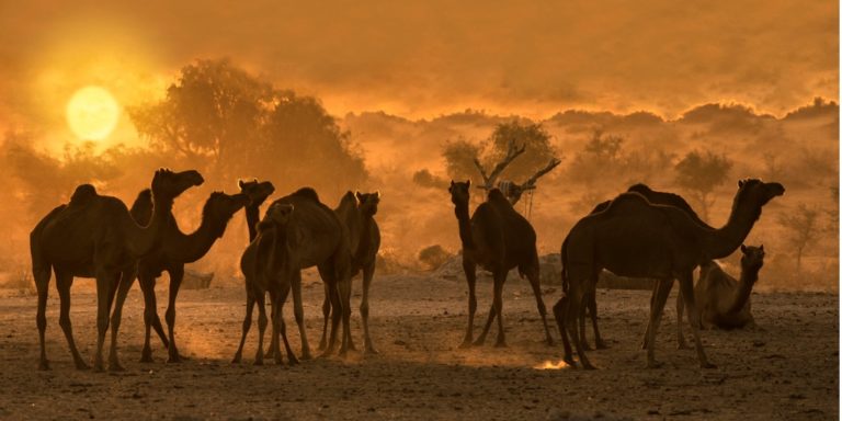 List of Famous Deserts of Pakistan | Graana.com