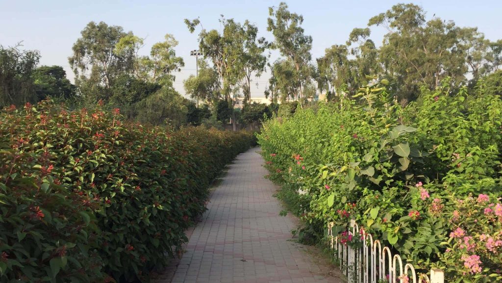 List of Best Parks in Lahore | Graana.com