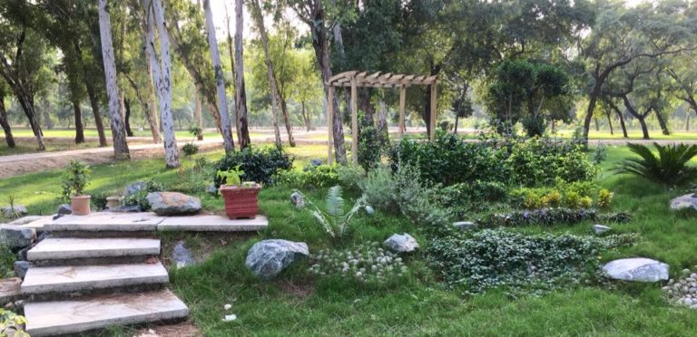 List of Best Parks in Lahore | Graana.com
