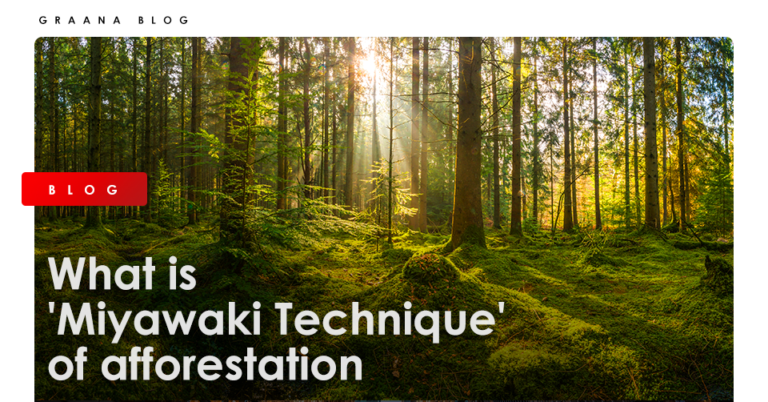 What is ‘Miyawaki Technique’ of afforestation? | Graana.com