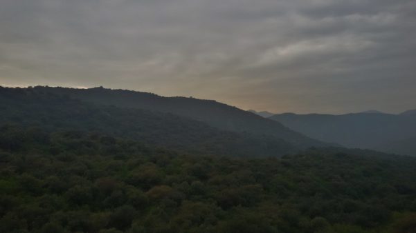 National Parks of Pakistan - Facts, Location & More | Graana.com