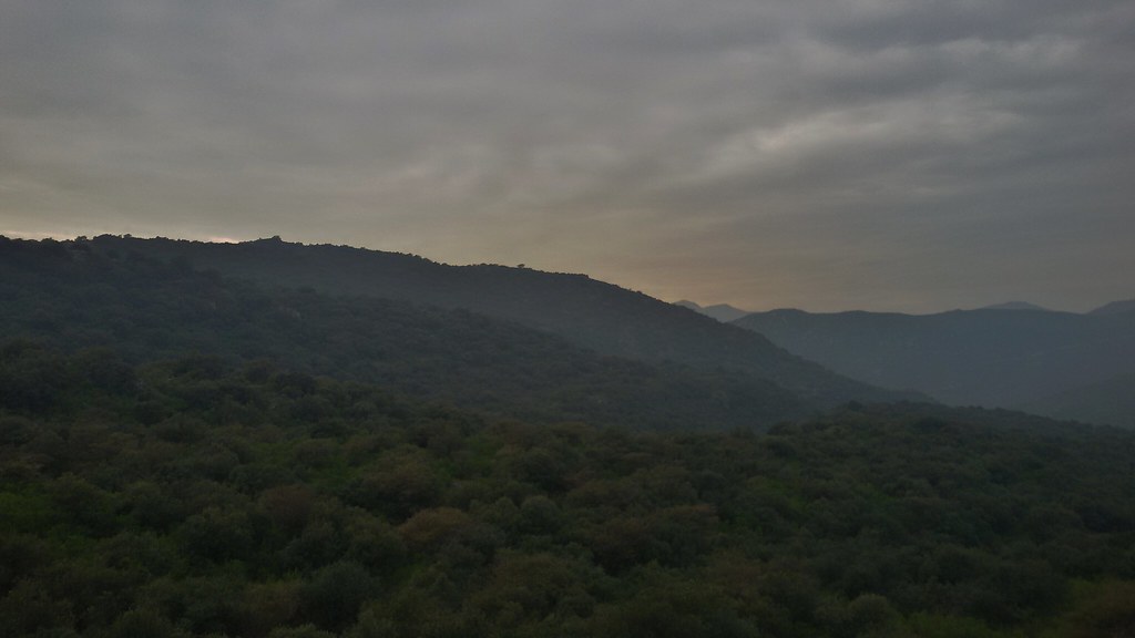 National Parks of Pakistan - Facts, Location & More | Graana.com