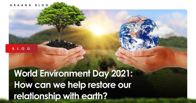 World Environment Day 2021: How can we help restore our relationship ...