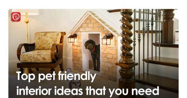 Top pet friendly interior ideas that you need | Graana.com