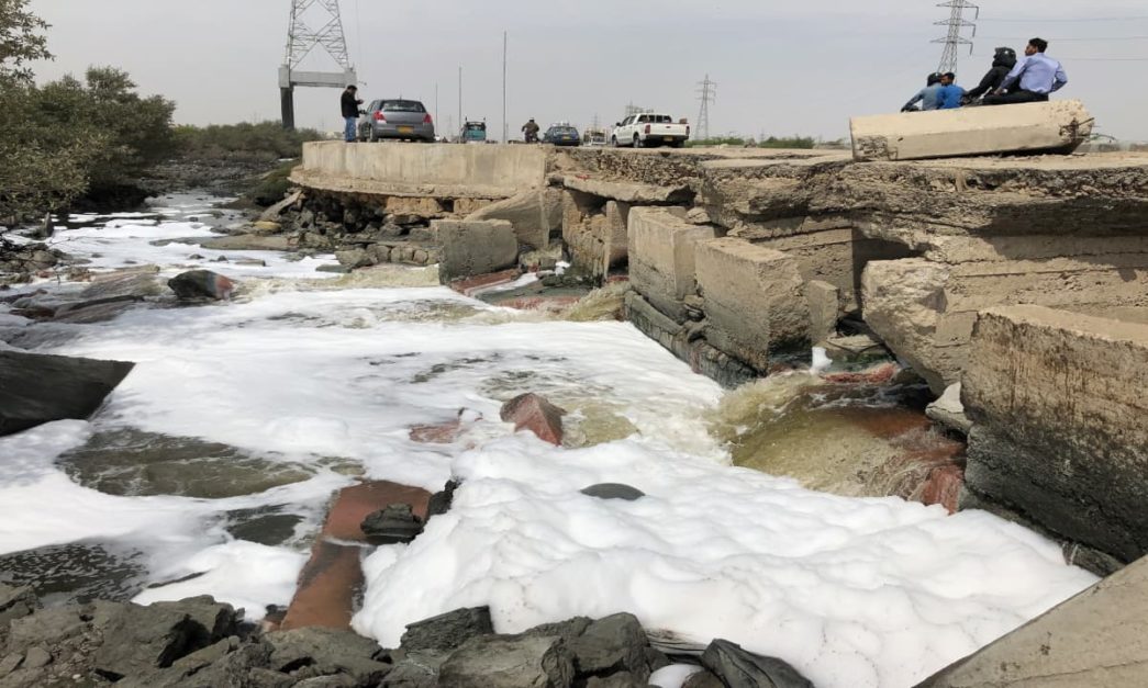 Environmental Issues in Pakistan | Graana.com