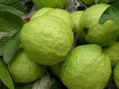 Everything You Need to Know About Popular Fruits in Pakistan | Graana.com