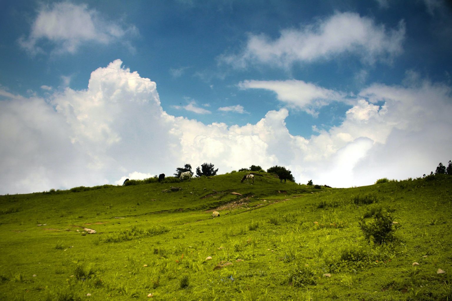 Shogran Valley – A Complete Tour Guide | Graana.com