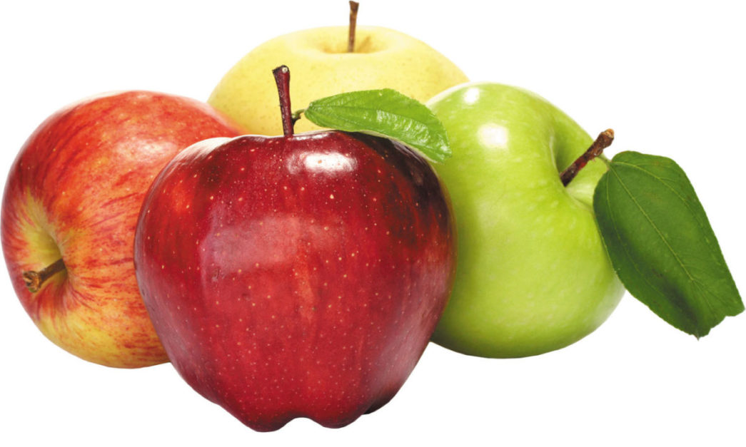 پاکستان کی زرخیز زمین سے پیدا ہونے والے پھلوں کی مختلف اقسام | Graana.com
