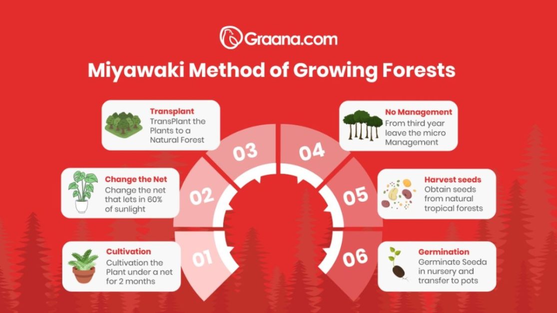 Amenity Plots in Pakistan: Features, Functions, and More | Graana.com