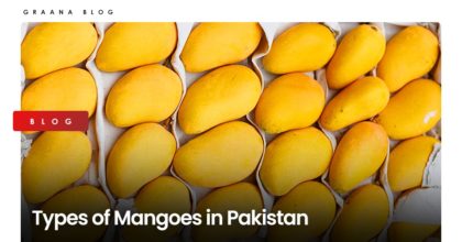 Types of Mangoes in Pakistan | Graana.com