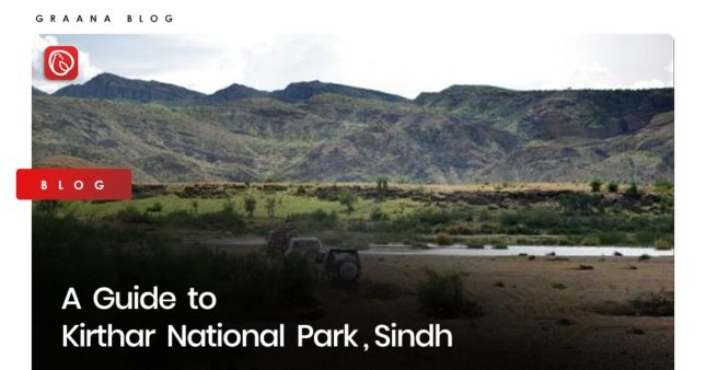 A Guide to Kirthar National Park, Sindh | Graana.com