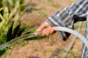 A Guide to Recycling Water at Home | Graana.com