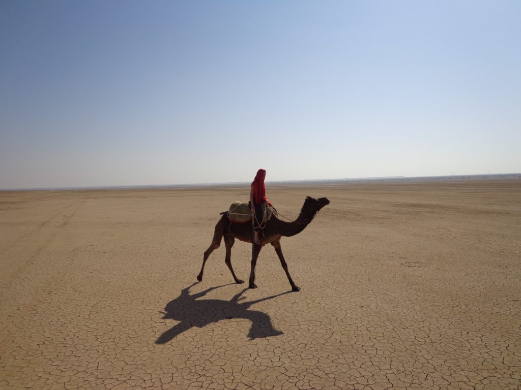 All you need to know about Thar Desert | Graana.com