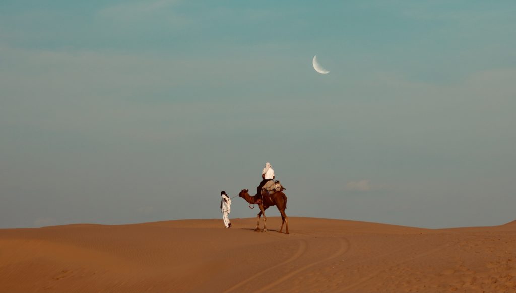 All you need to know about Thar Desert | Graana.com