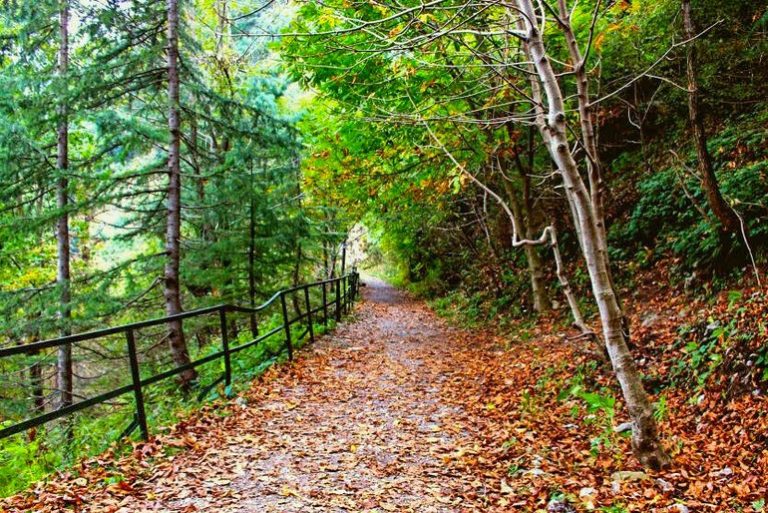 A Complete Guide to Pipeline Track | Graana.com