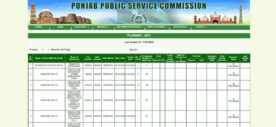 Punjab Public Service Commission (PPSC): An Overview | Graana.com