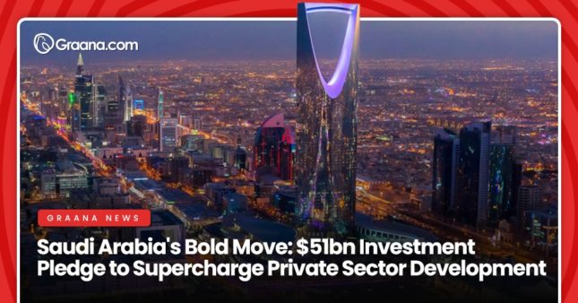 Saudi Arabia's Bold Move: $51bn Investment Pledge to Supercharge ...