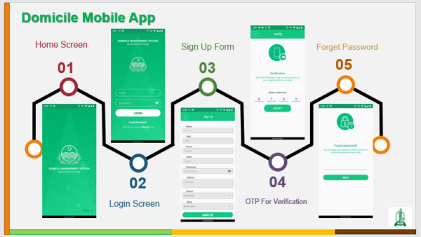 A Guide to the Domicile Management System in Punjab | Graana.com