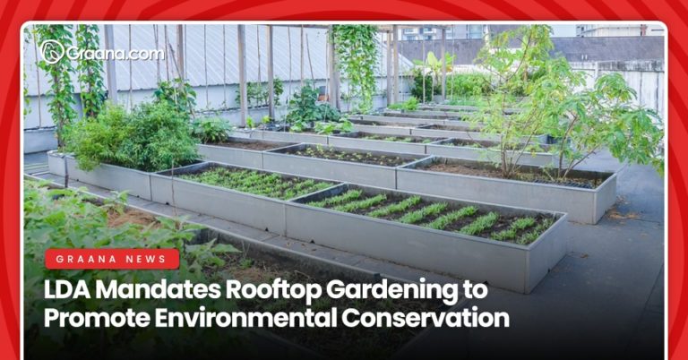 LDA Mandates Rooftop Gardening to Promote Environmental Conservation ...