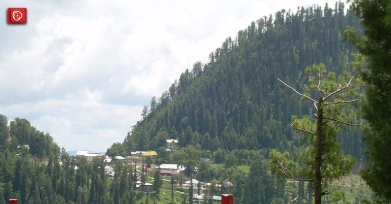 The Different Types of Forests in Pakistan | Graana.com