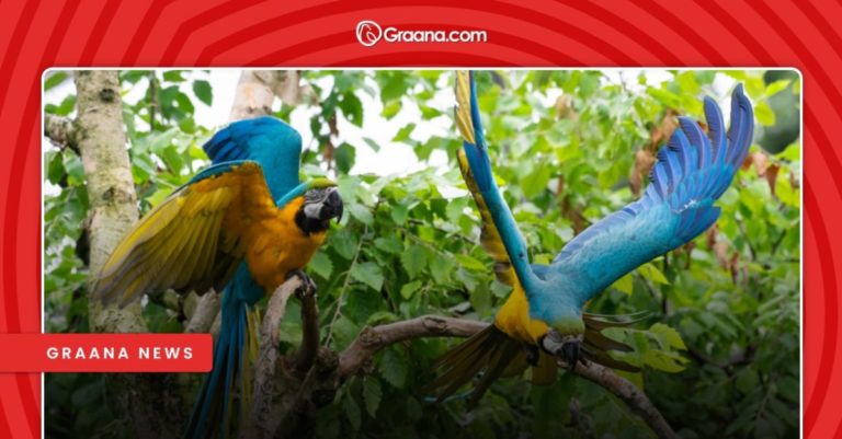 CDA Approves Construction of World's Largest Bird Aviary | Graana.com