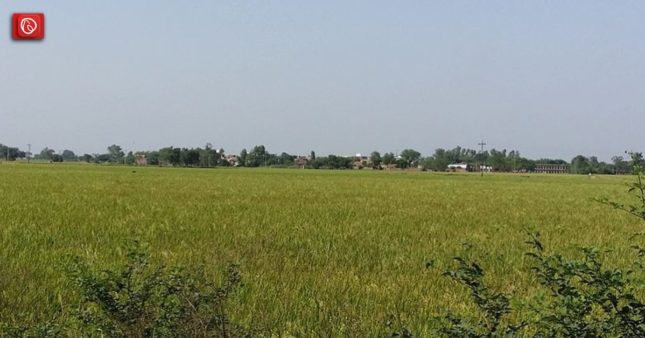 Exploring Pasrur: A Historical Gem in Punjab | Graana.com