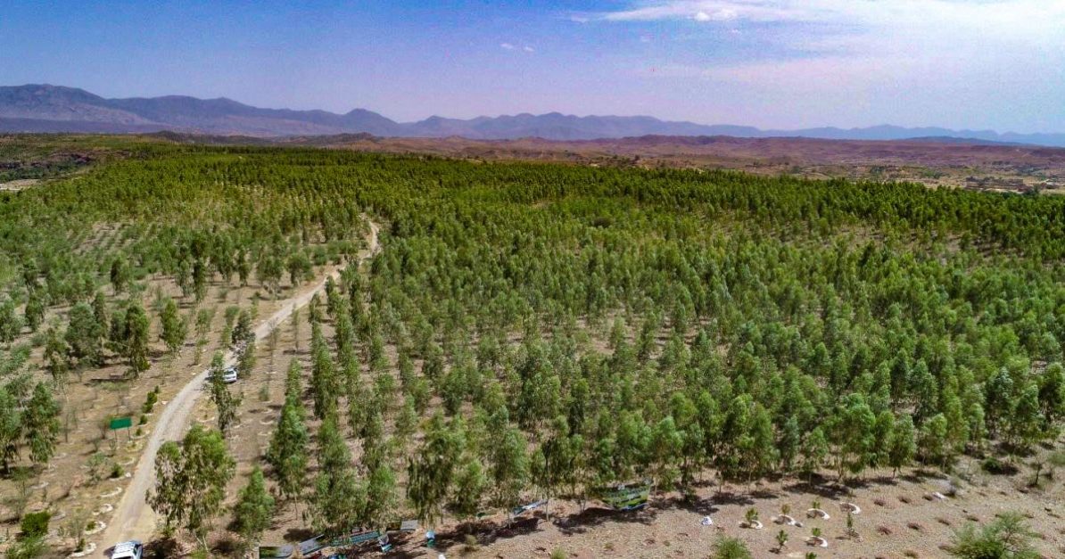 The Ministry of Climate Change and Environmental Coordination ...