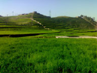 Everything You Need to Know About Timergara | Graana.com