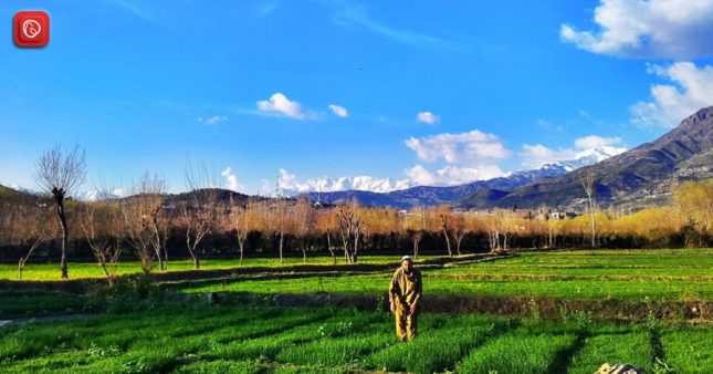 Everything You Need to Know About Timergara | Graana.com