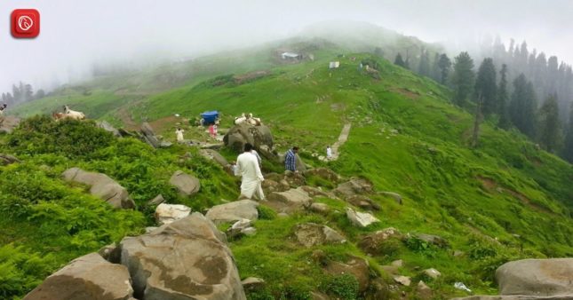 A Complete Guide to Toli Peer | Graana.com