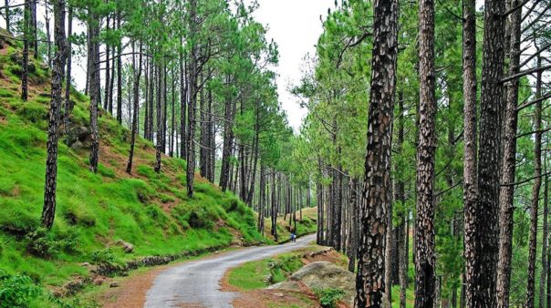 A Guide to Kotli | Graana.com