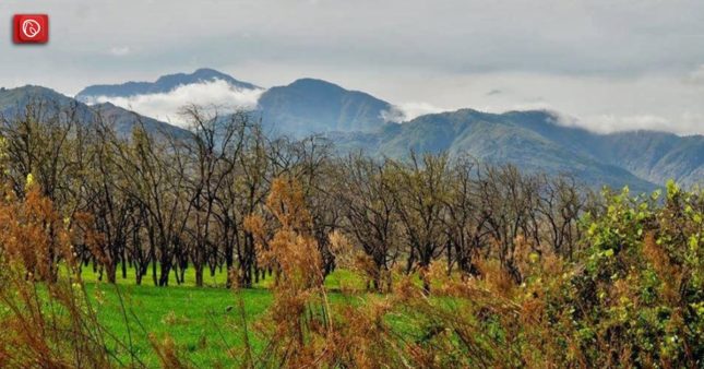 Exploring the Rich History and Vibrant Culture of Chakdara, Pakistan ...