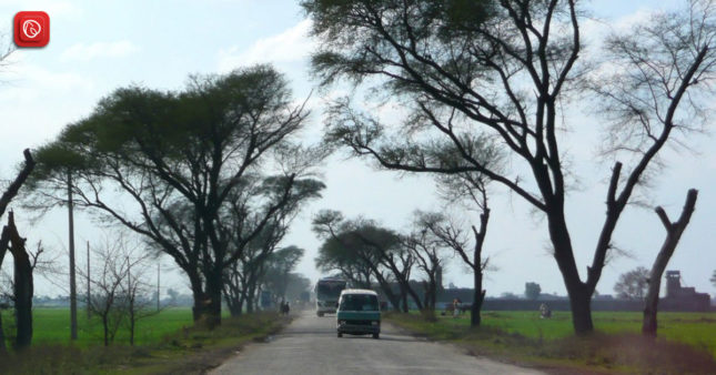 Discovering Zafarwal: A Symbol of Culture in Punjab | Graana.com