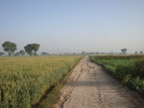 Exploring The Historical City of Arifwala | Graana.com