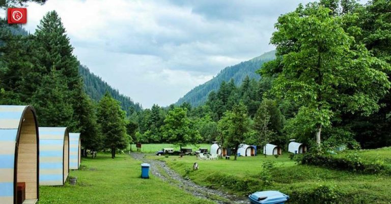 Sharan Forest : A Beautiful Place in Kaghan Valley | Graana.com