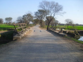 All You Need to Know About Dinga | Graana.com