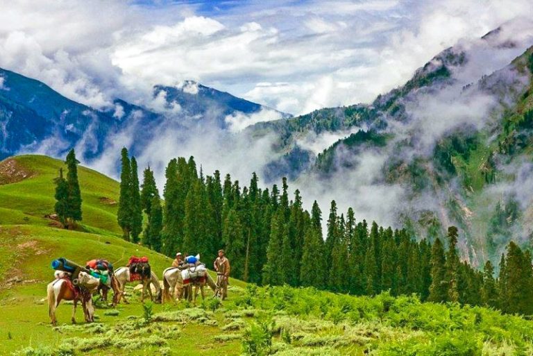 Exploring Battagram | Graana.com