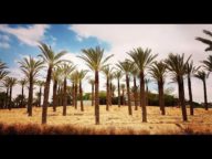 Exploring Panjgur: History, Culture & People | Graana.com