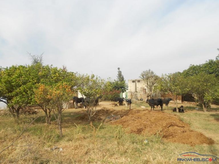 Exploring the Golra Sharif Darbar | Graana.com