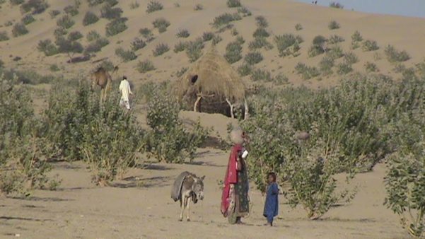 Khokhrapar: A Small Town in Tharparkar District | Graana.com